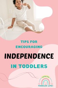 5 Important Ways You Can Encourage Toddler Independence