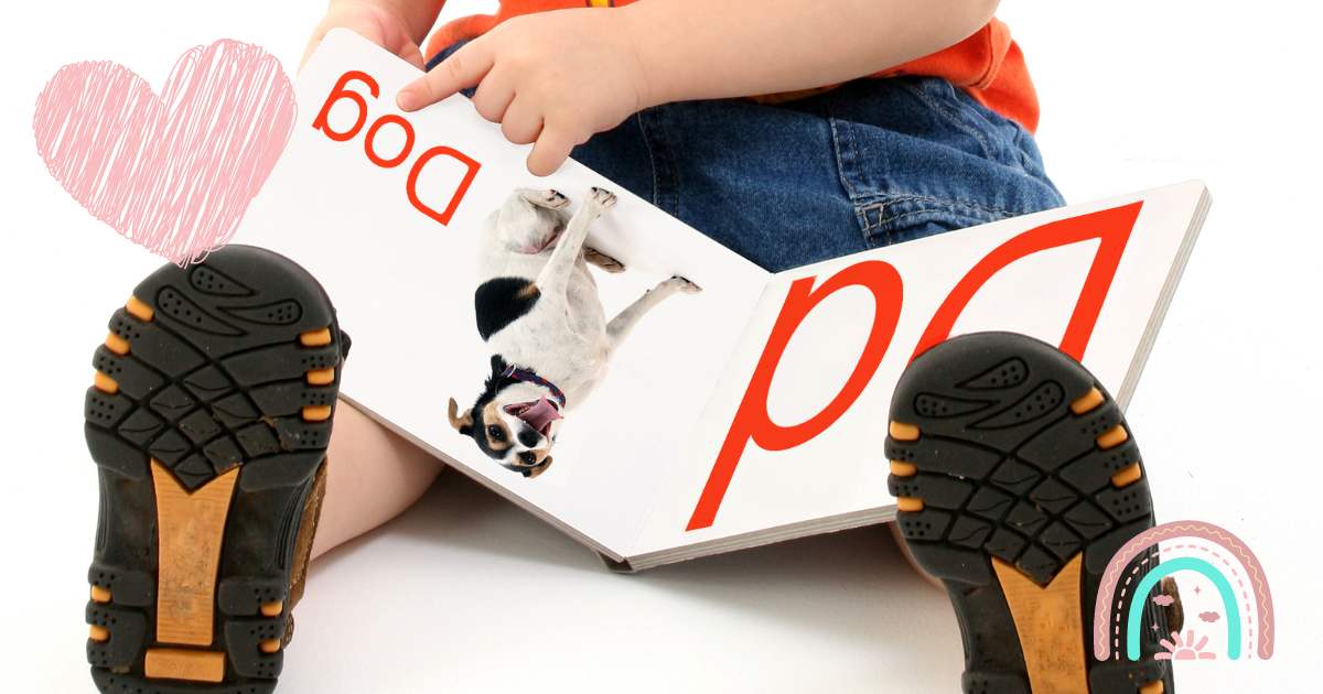 12 Toddler Books You Need To Explore