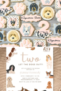Insanely Cute Second Birthday Themes For Girls